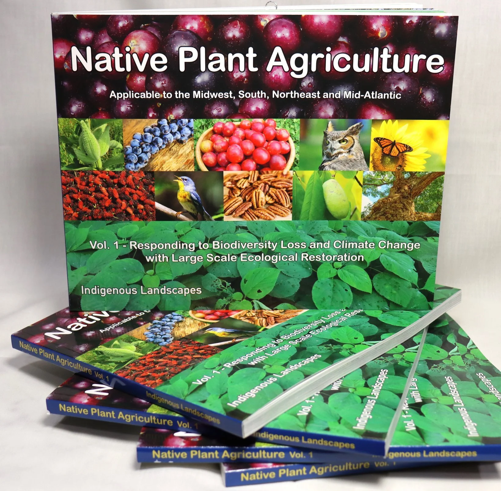 Indigenous Landscapes