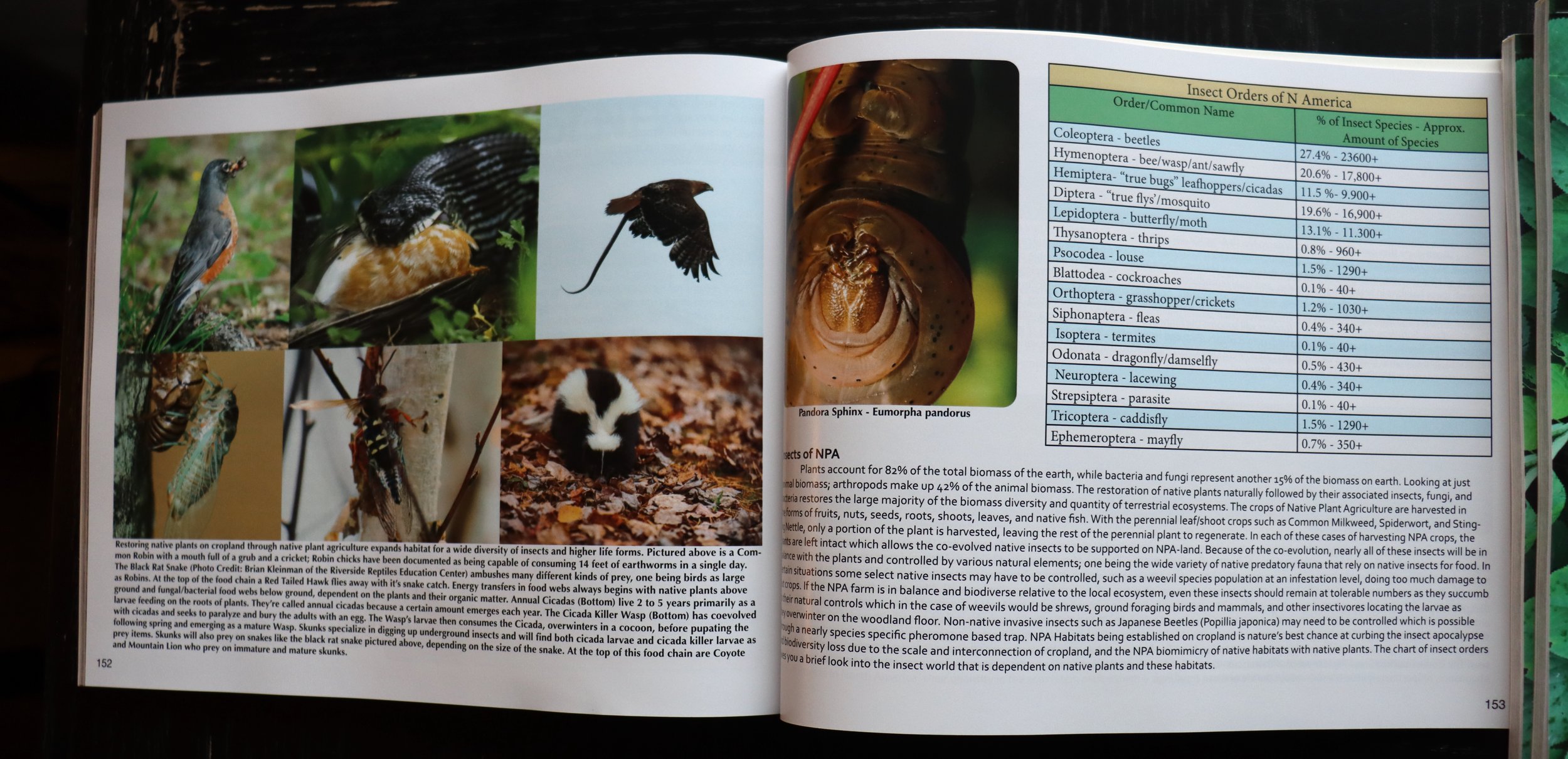 Native Plant Ag Book — Indigenous Landscapes