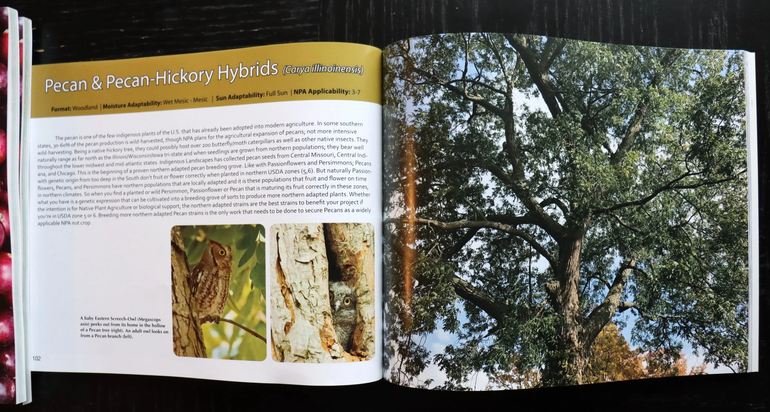 Native Plant Ag Book — Indigenous Landscapes