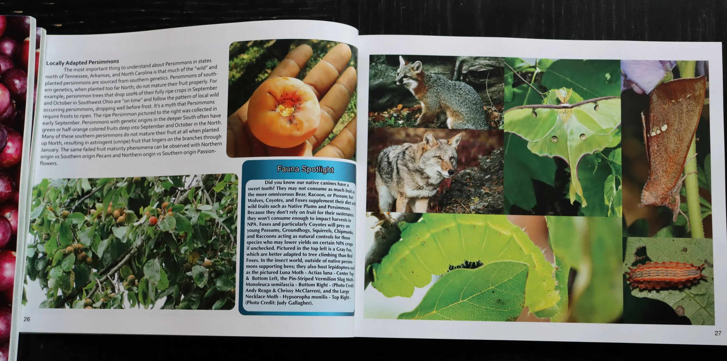 Native Plant Ag Book — Indigenous Landscapes