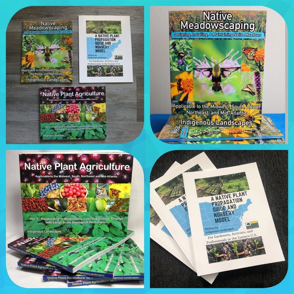 Our Books — Indigenous Landscapes