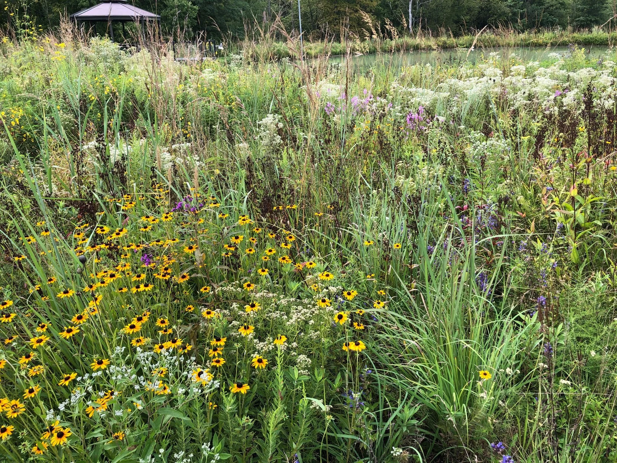 Indigenous Landscapes