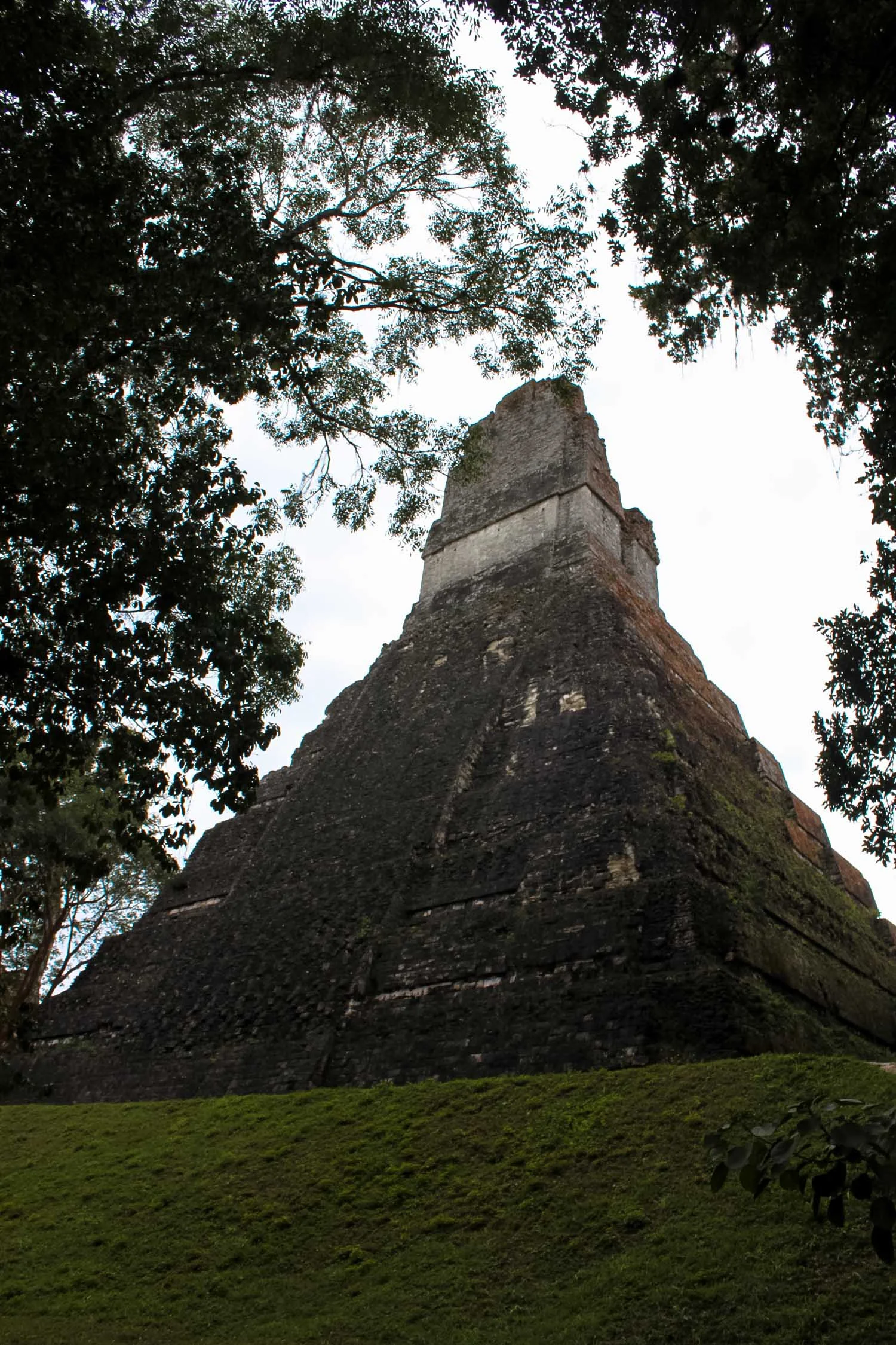 Tikal - A Photo Essay — Tofu Traveler