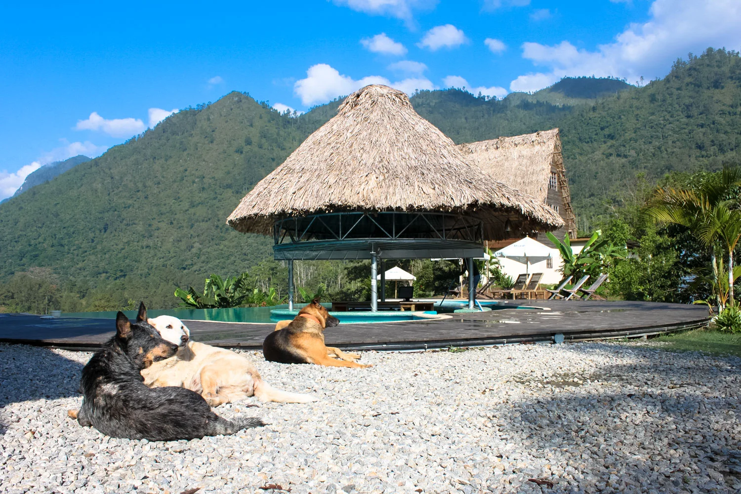 Zephyr Lodge Guatemala - The Good, The Bad and The Infinity Pool — Tofu ...