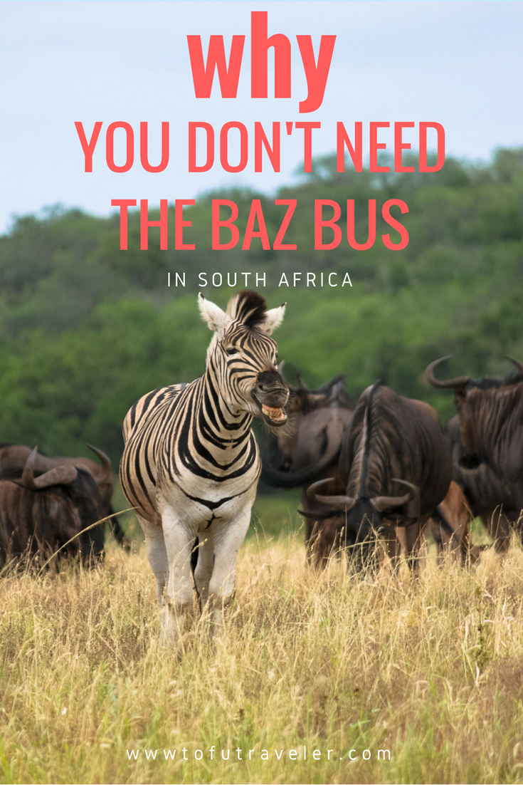 Do You Need the Baz Bus in South Africa to Travel the Garden Route ...