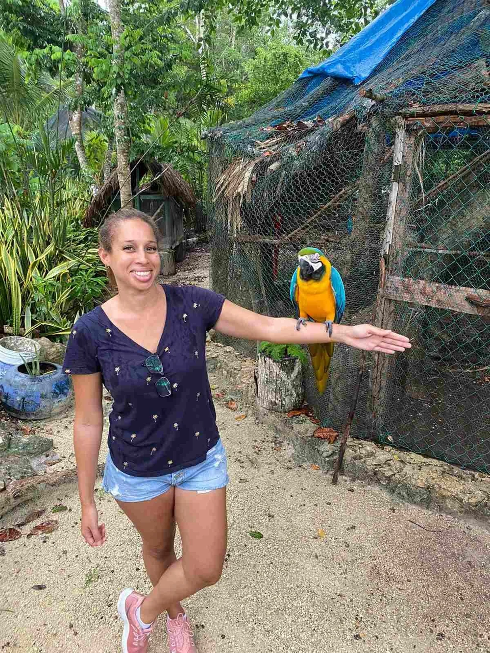 Discover Amazing Animals in Playa del Carmen & the Riviera Maya — Tofu ...
