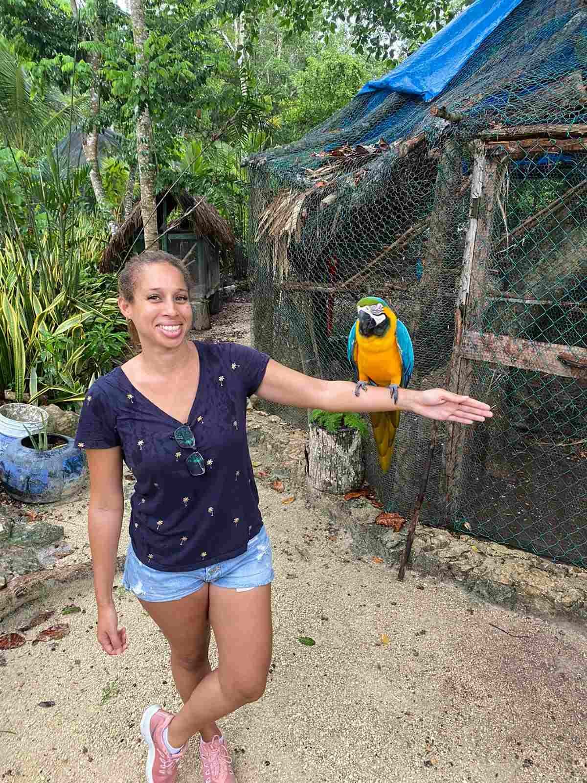 Discover Amazing Animals in Playa del Carmen & the Riviera Maya — Tofu Traveler