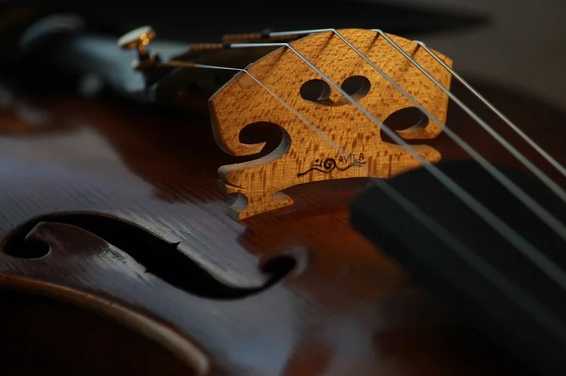 Chris McKhool (and my violin!) at the Toronto Violin Summit — Itzel ...
