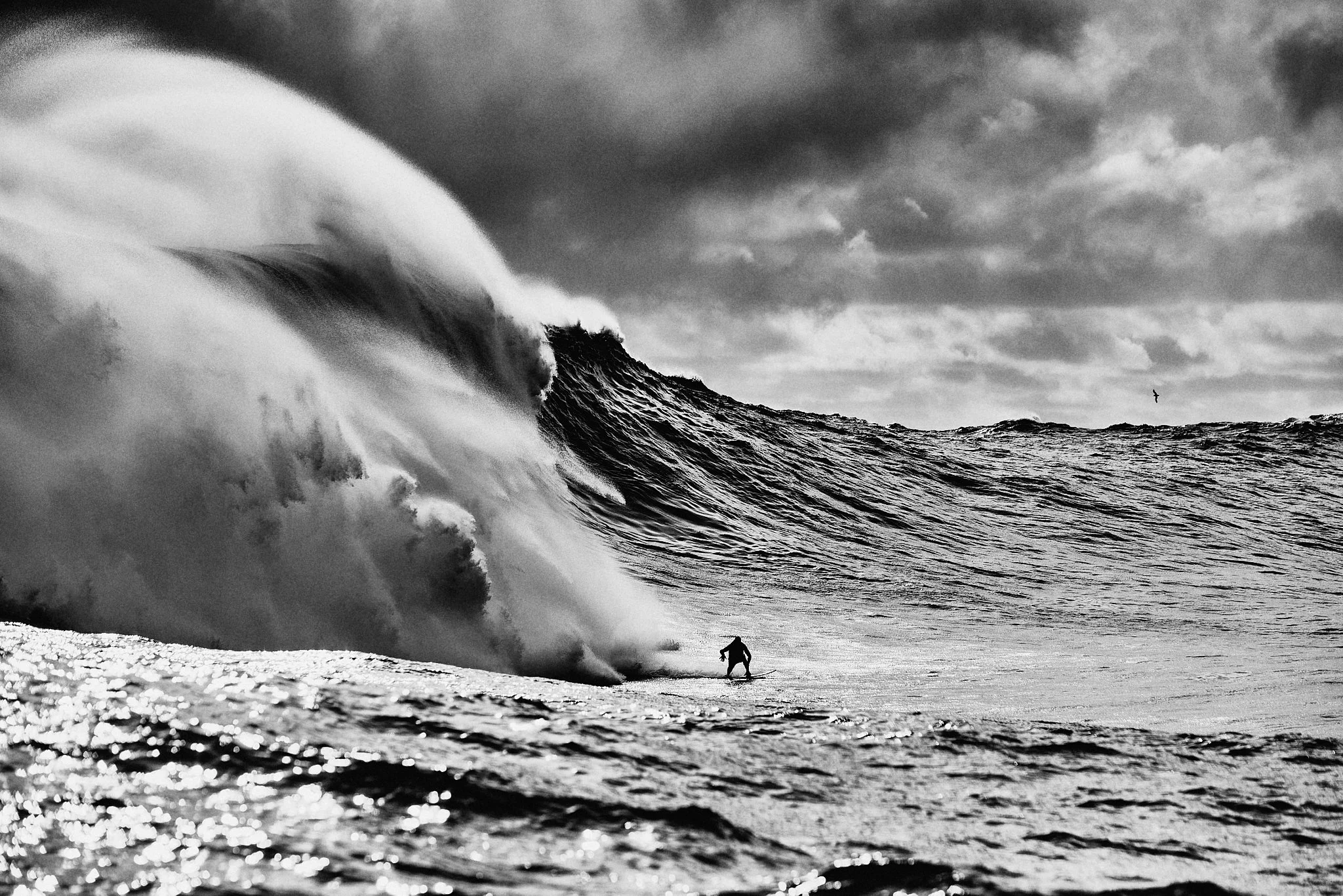 Russell Ord Photography