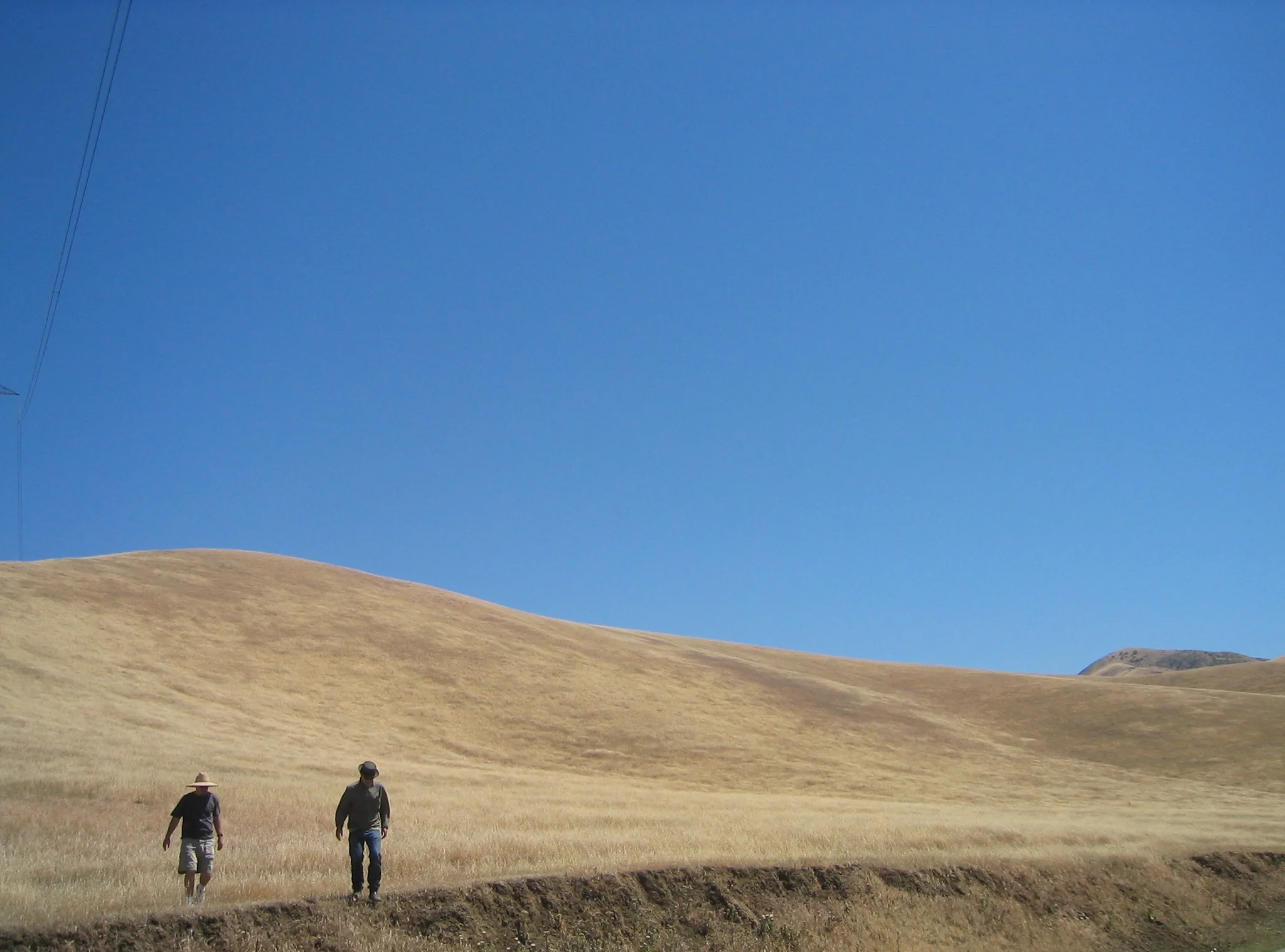 Atlas Productions NYC