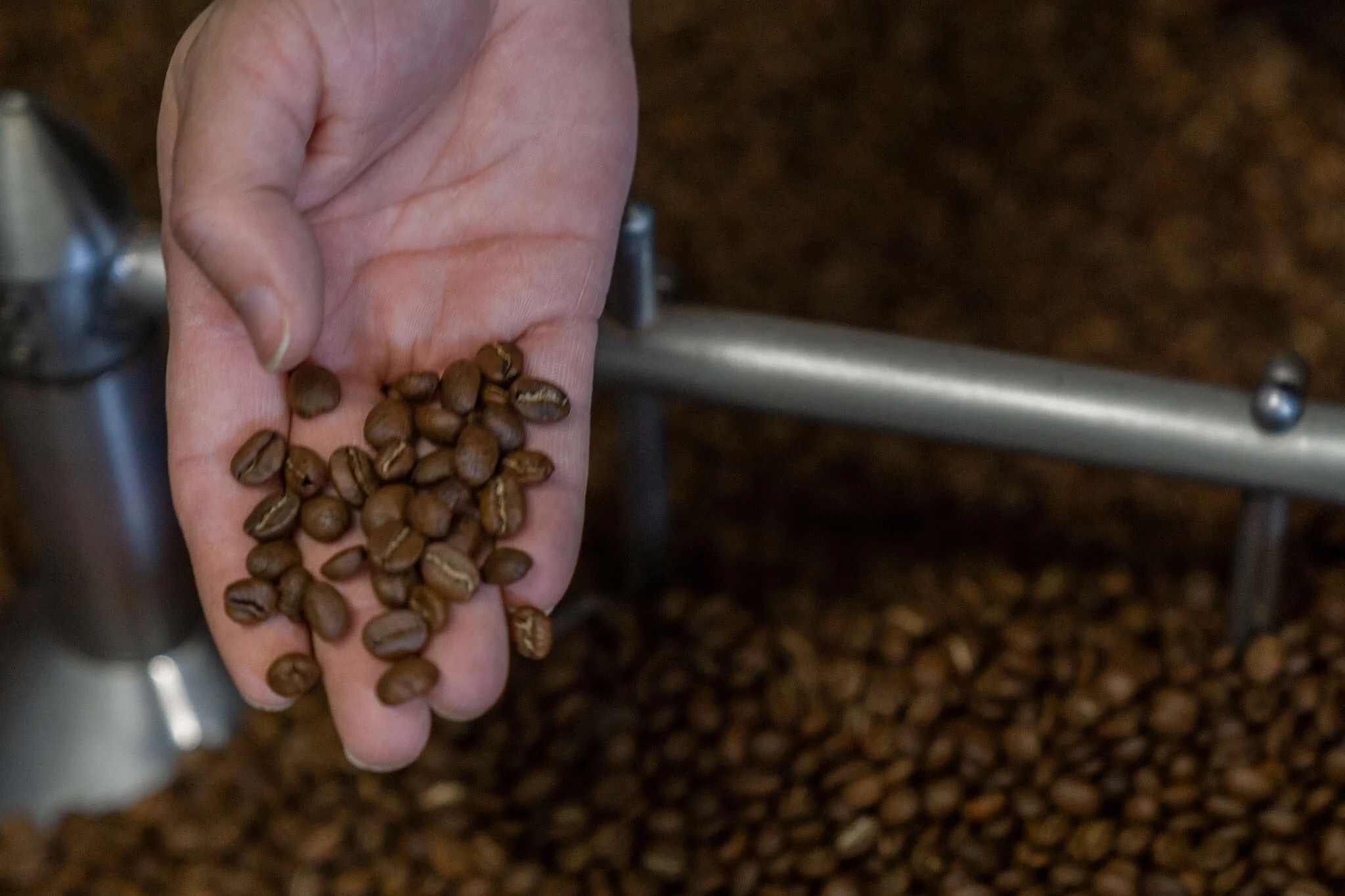 Coffee Defects — Blog — Clarity Coffee