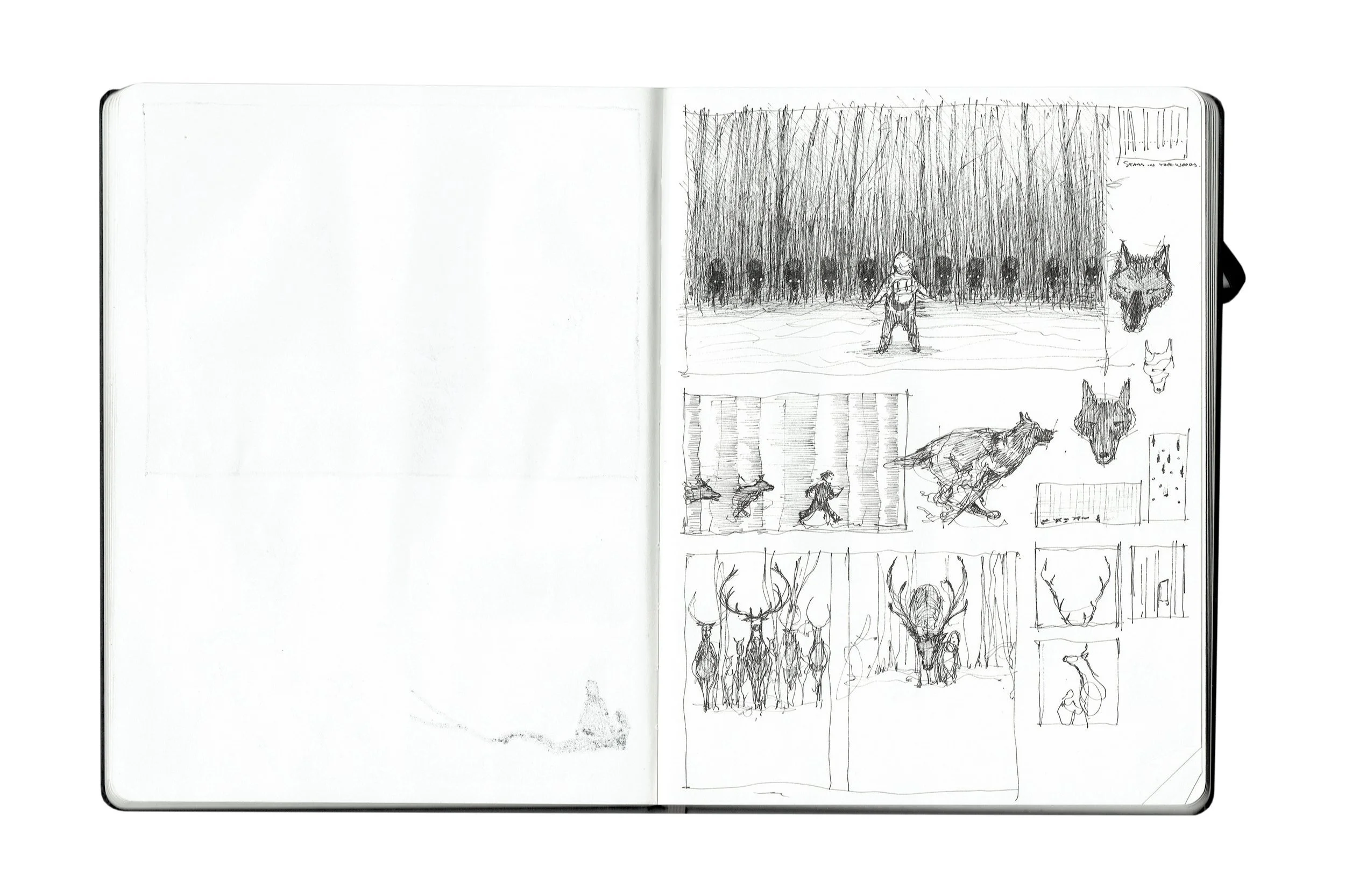 THE LAST TREE | A Seed of Hope — Luke Adam Hawker