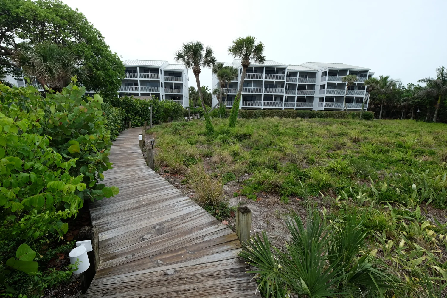 Five Reasons Why You Should Adventure to Sanibel Island — Traveling ...