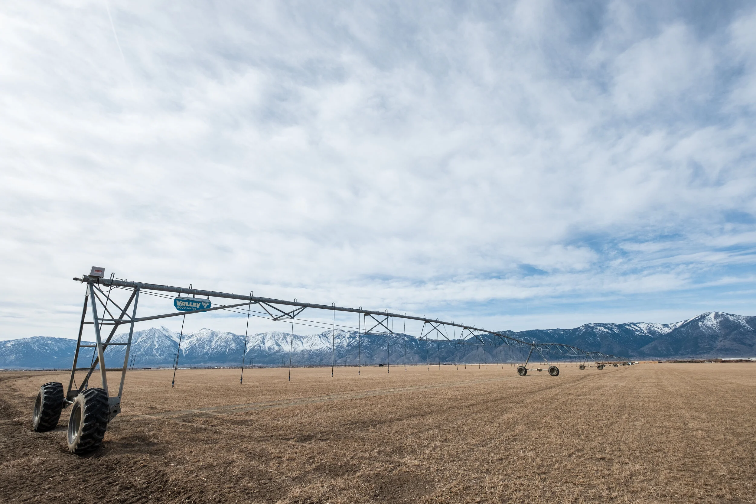 WHY BENTLY RANCH AND DISTILLERY SHOULD BE ON YOUR RADAR — Traveling ...