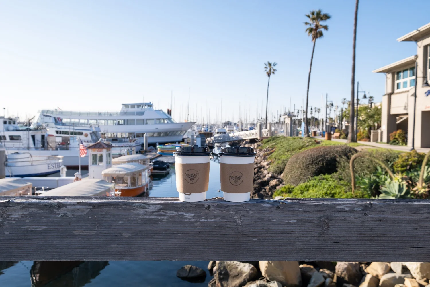 OXNARD - A BEACH TOWN FOR THE DOGS — Traveling Newlyweds