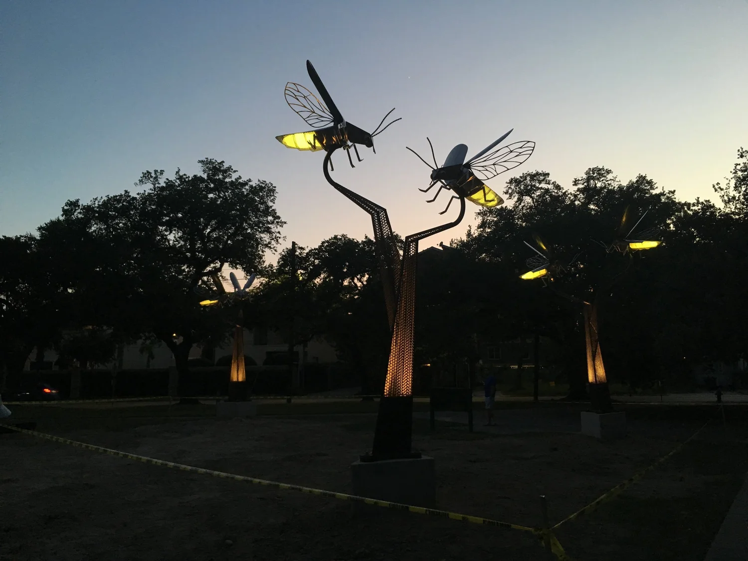 FIREFLY FIELD HAS ARRIVED! — Woodland Heights