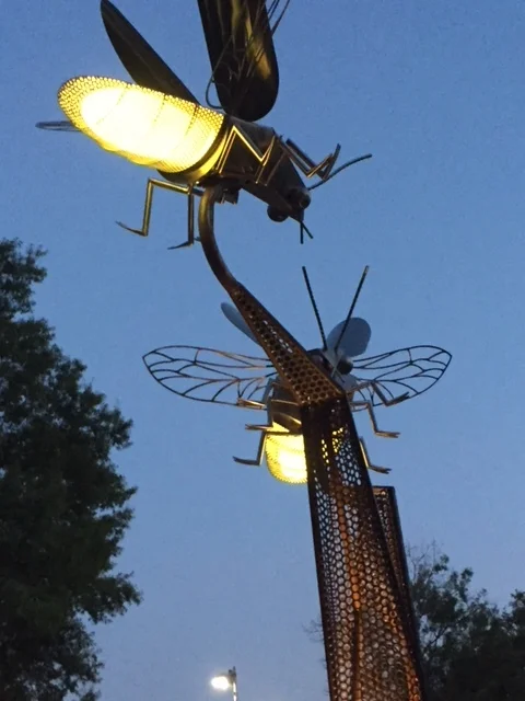 FIREFLY FIELD HAS ARRIVED! — Woodland Heights