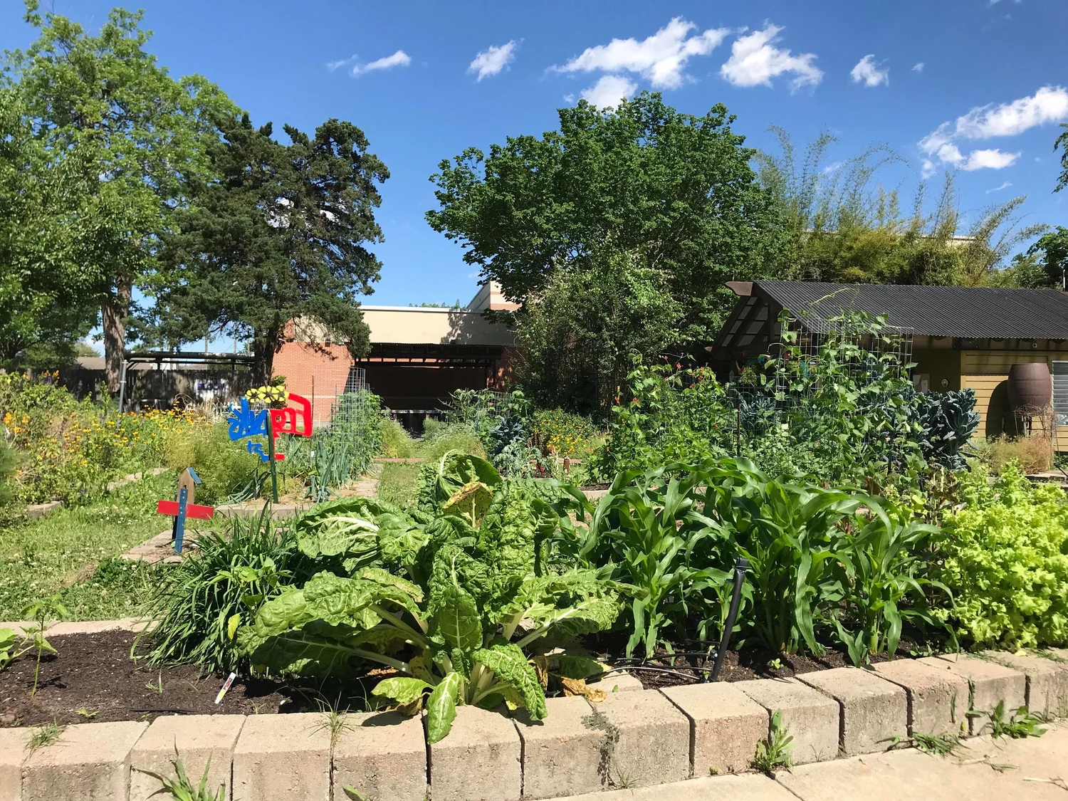 Yard-of-the-Month: The Garden At Travis Elementary School — Woodland ...