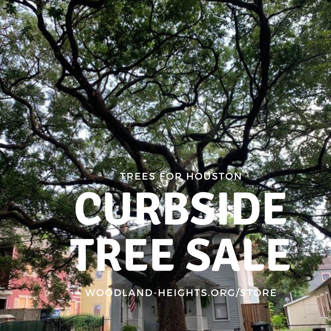Curbside Tree Sale — Woodland Heights