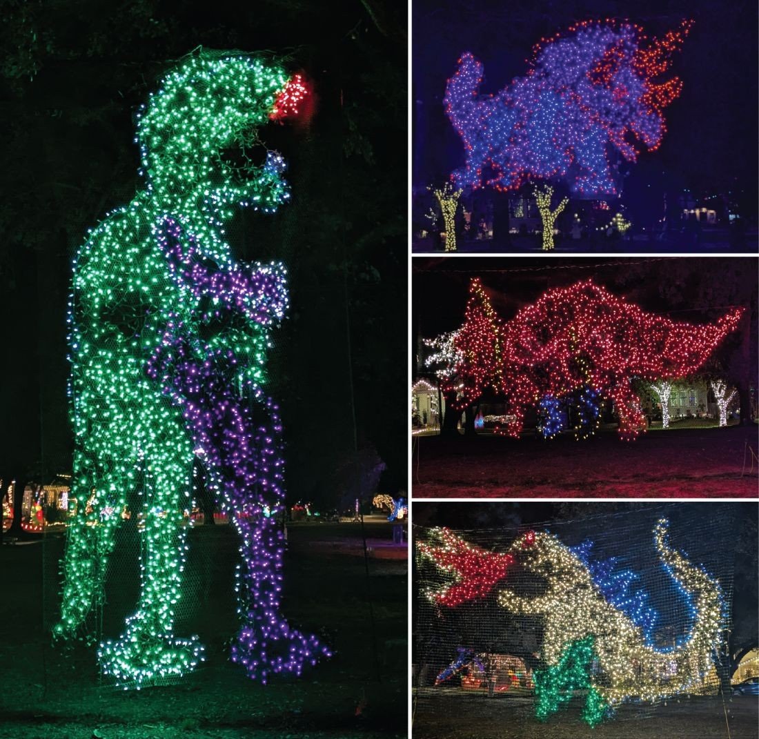 Bright Future For Dinos! — Woodland Heights