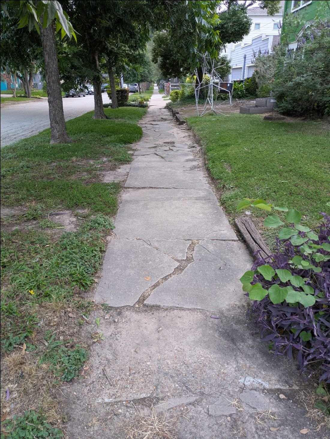 Sidewalk Repairs — Woodland Heights