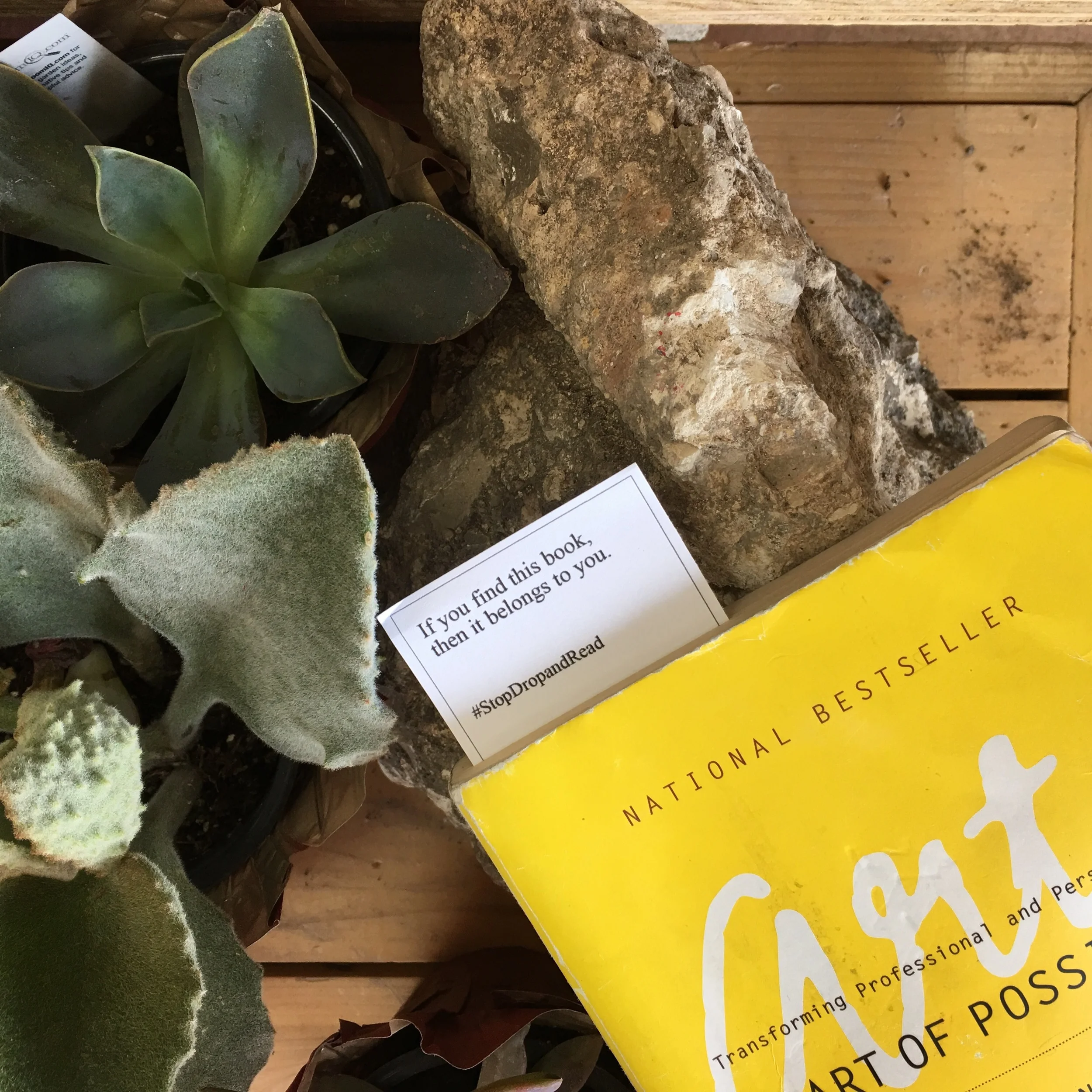 The Love Letter Library-Stop Drop & Read