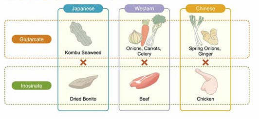 Umami Science Part III - Umami Synergy — Ramen Chemistry