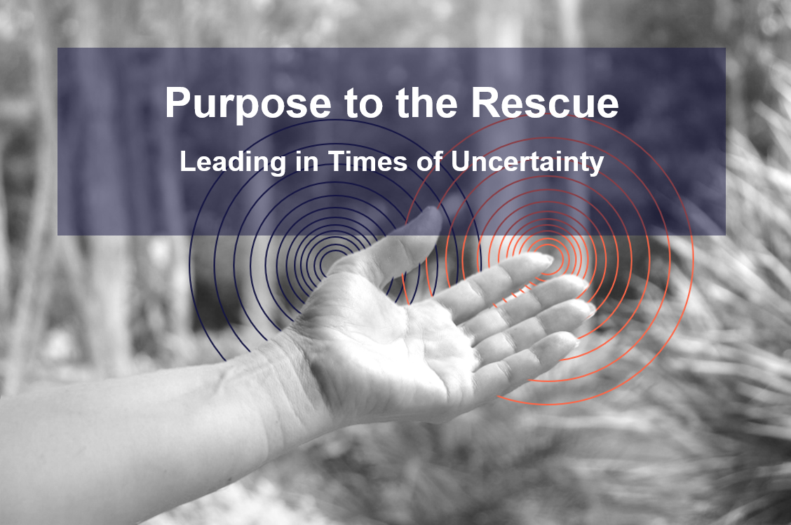 The difference between Purpose, Mission and Vision — People with Purpose