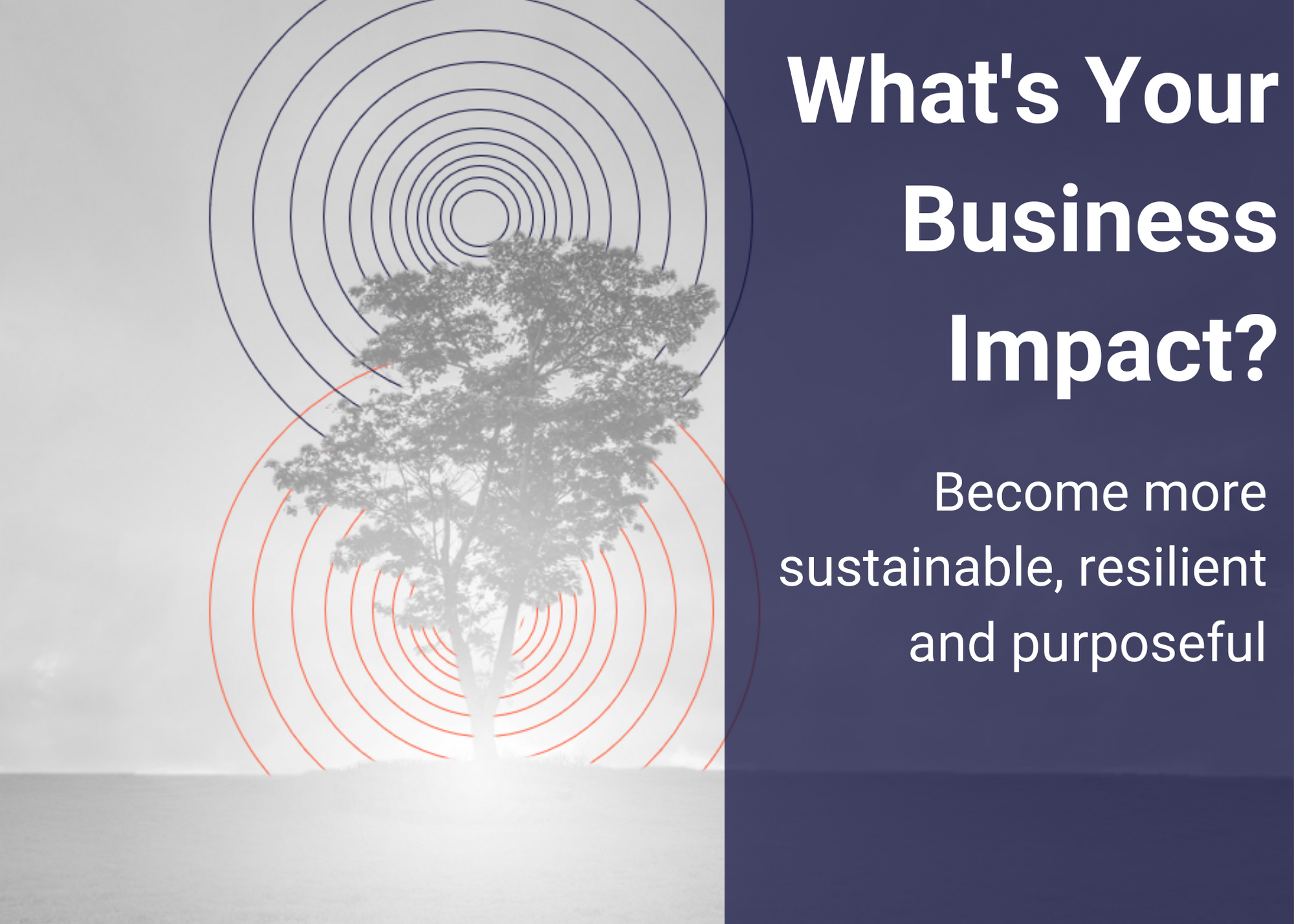 What's Your Business Impact? Become more sustainable, resilient and ...
