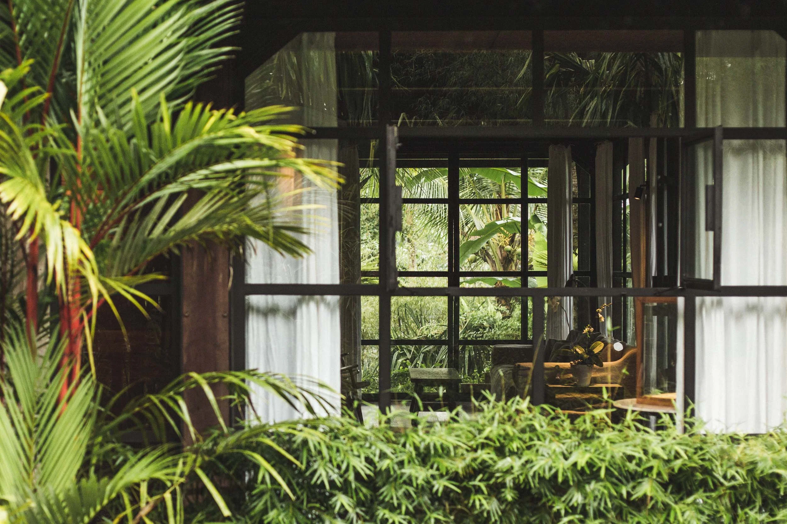 Sebun Kedis Home — Studio Jencquel