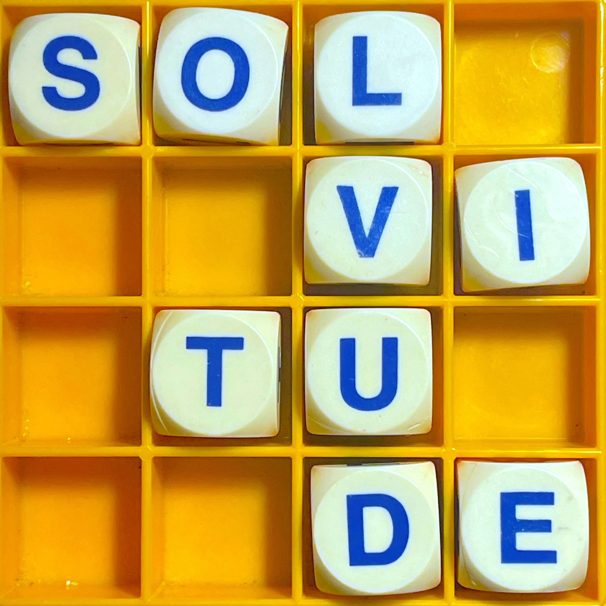 Allusionist 195 Word Play 5 100 Pages Of Solvitude The Allusionist