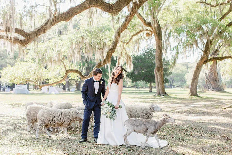 Pavilion Wedding at Middleton Place by Ava Moore Photography — A ...