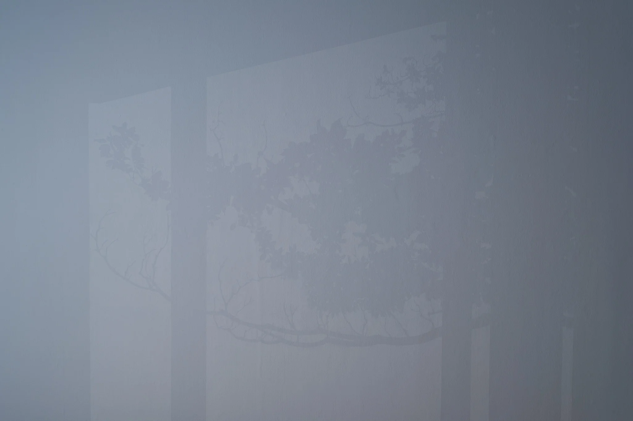 Mary Temple | Northwest Corner, Southeast Light — Rice Gallery