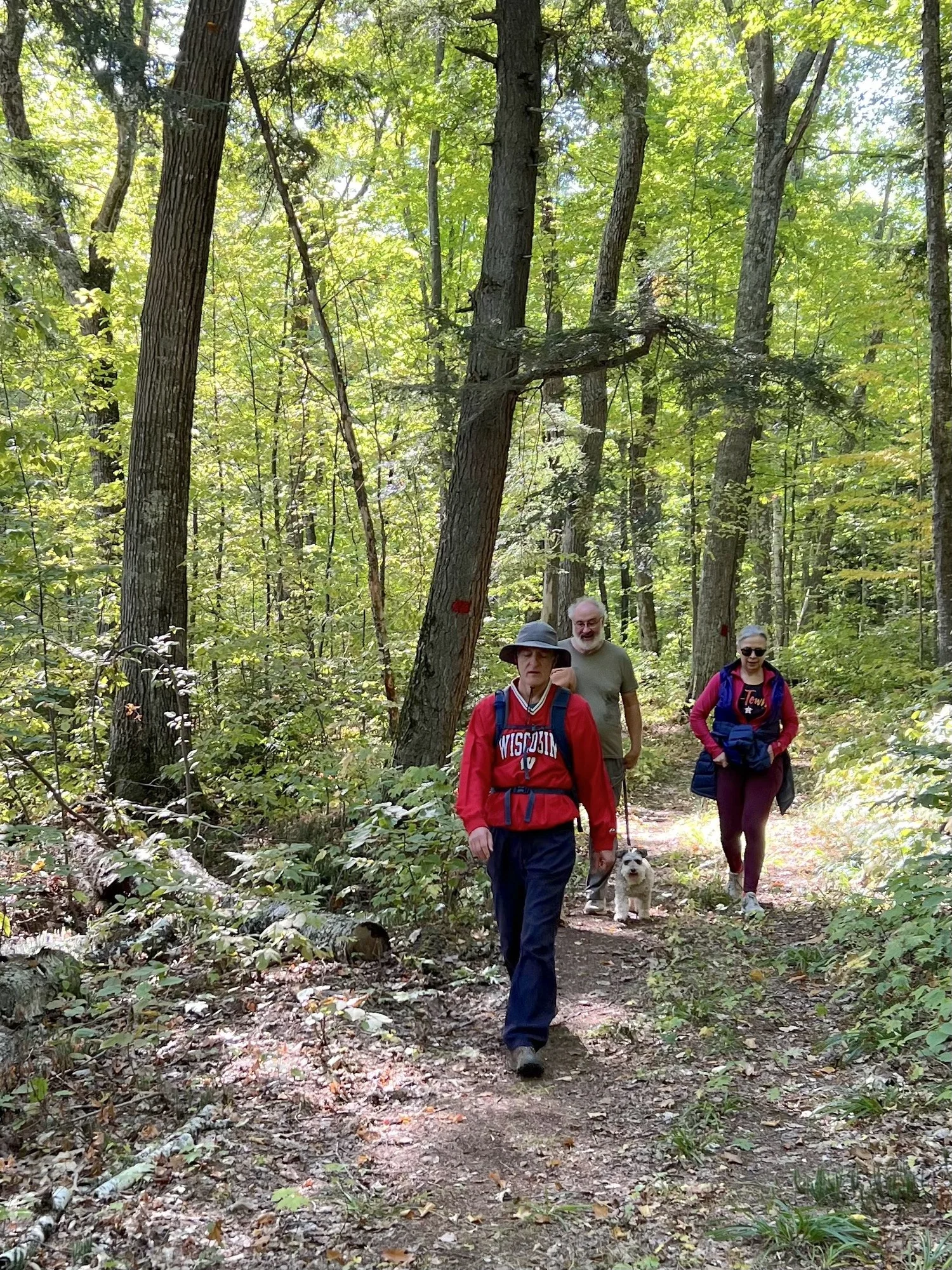 October 5 Hike in the North End Forest/Latest News/Madeline Island ...