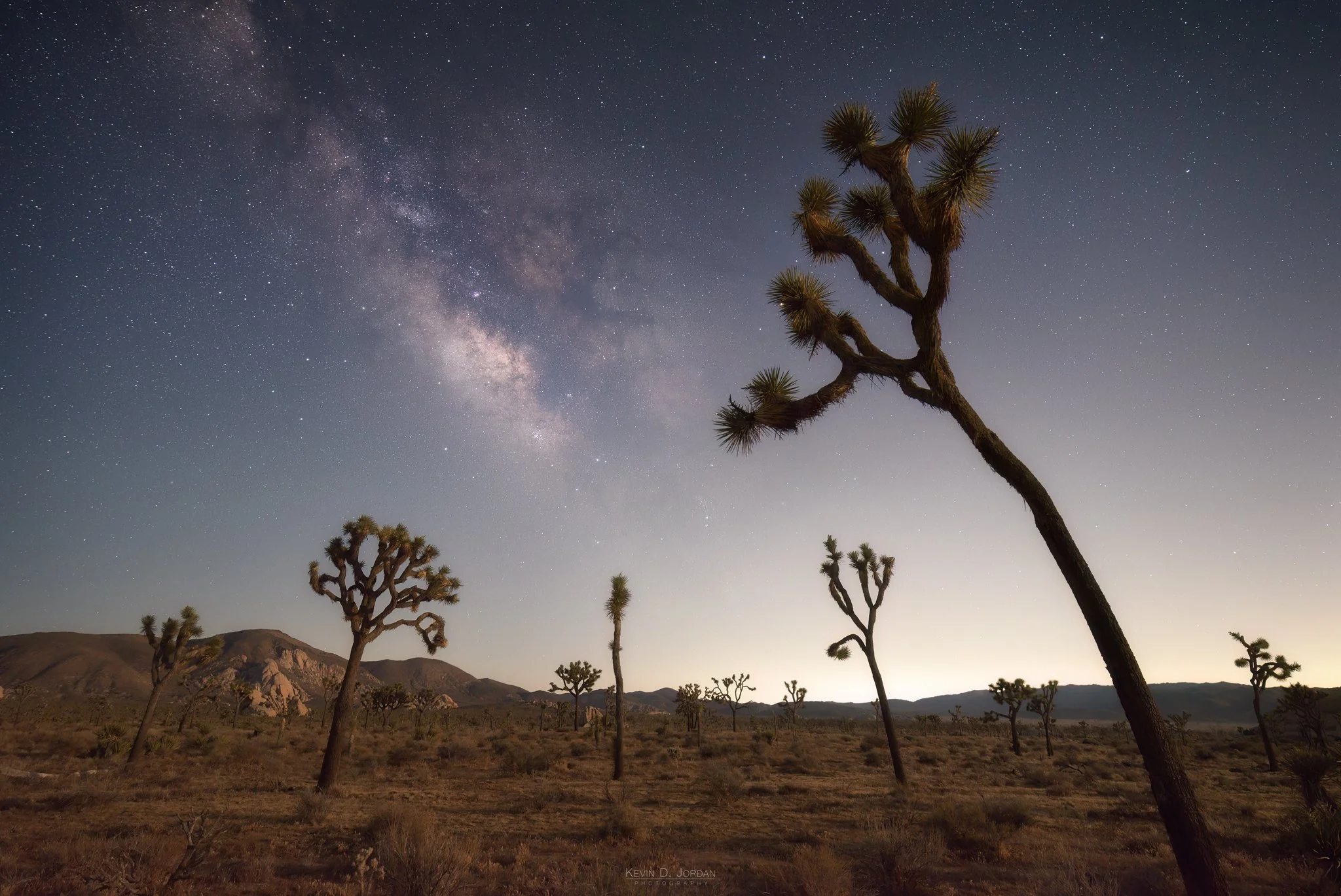 Night Photography in Joshua Tree National Park — Kevin D. Jordan ...