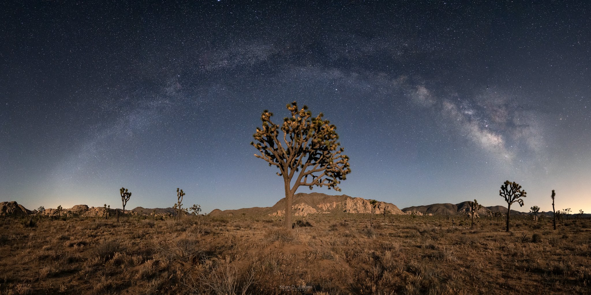 Night Photography in Joshua Tree National Park — Kevin D. Jordan ...