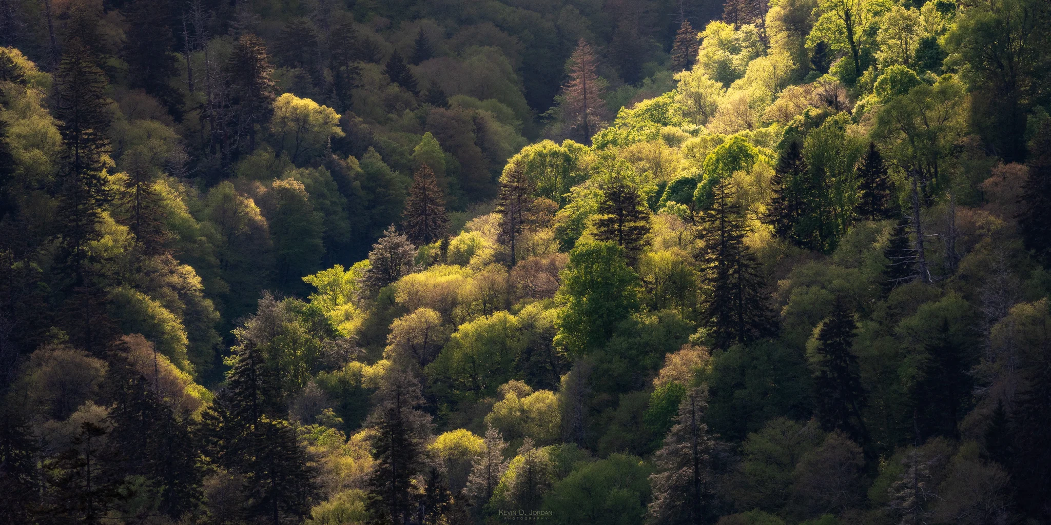 Landscape Photography in Great Smoky Mountains National Park — Kevin D ...