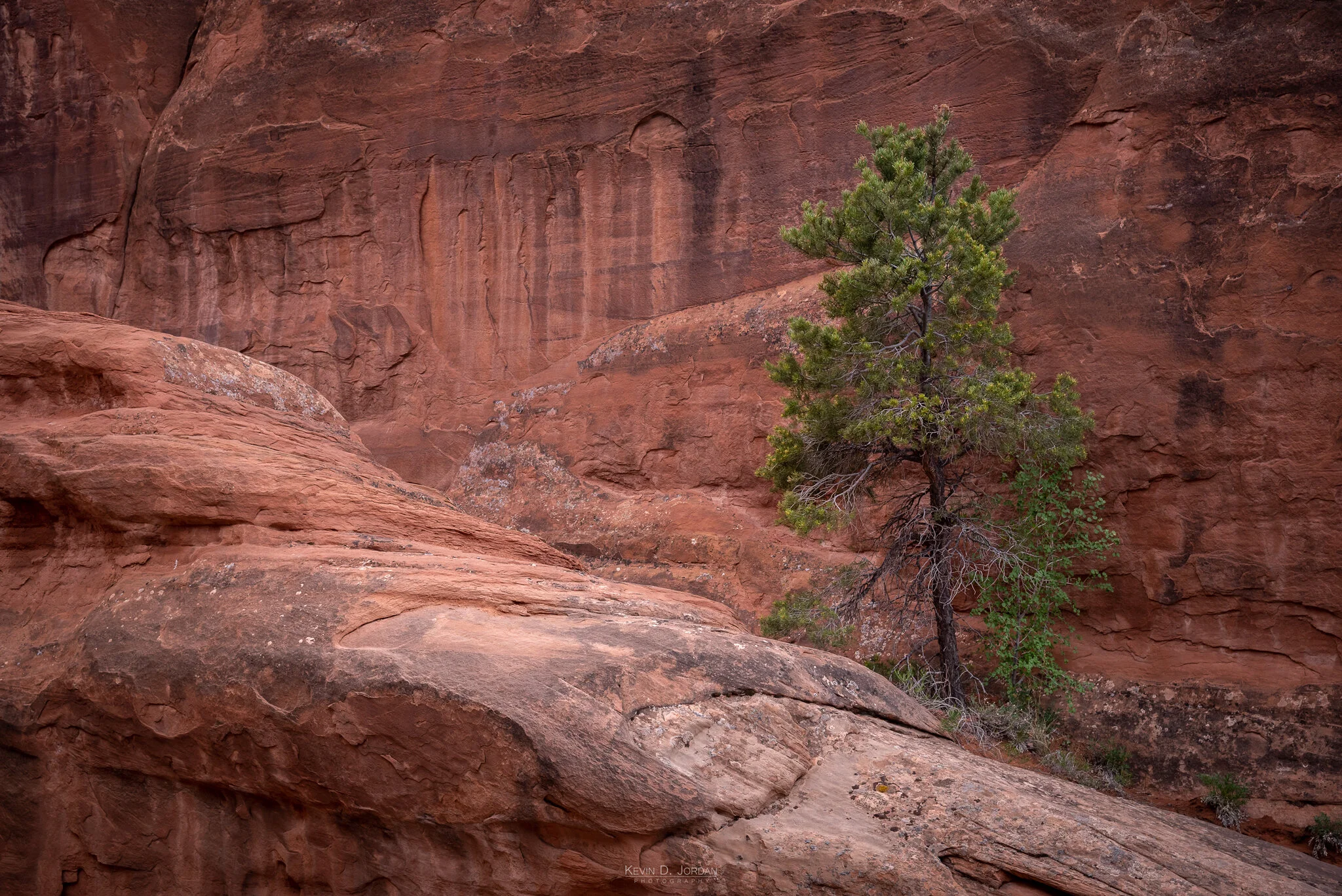 Landscape Photography in Arches National Park — Kevin D. Jordan Photography
