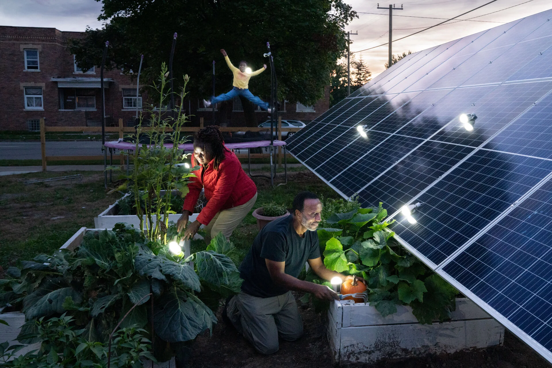 Our 2020 Solar Impact — Honnold Foundation