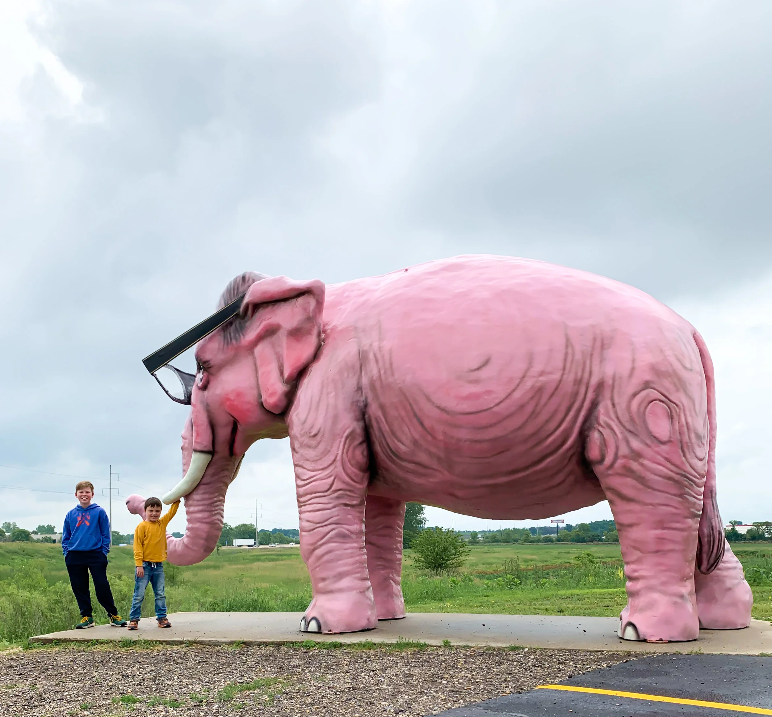 Pink Elephant Photography
