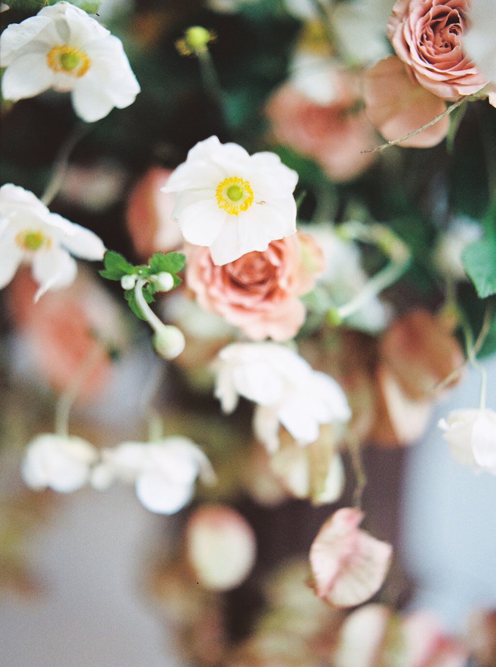 San Francisco Autumn Elopement-Editorial — STUDIO MONDINE