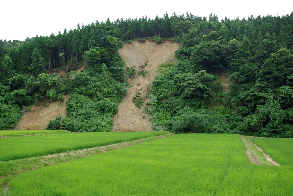 NATURAL HAZARDS RISK AND RESILIENCY — The B. John Garrick Institute for ...
