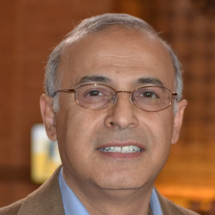 Ali Mosleh — The B. John Garrick Institute for the Risk Sciences