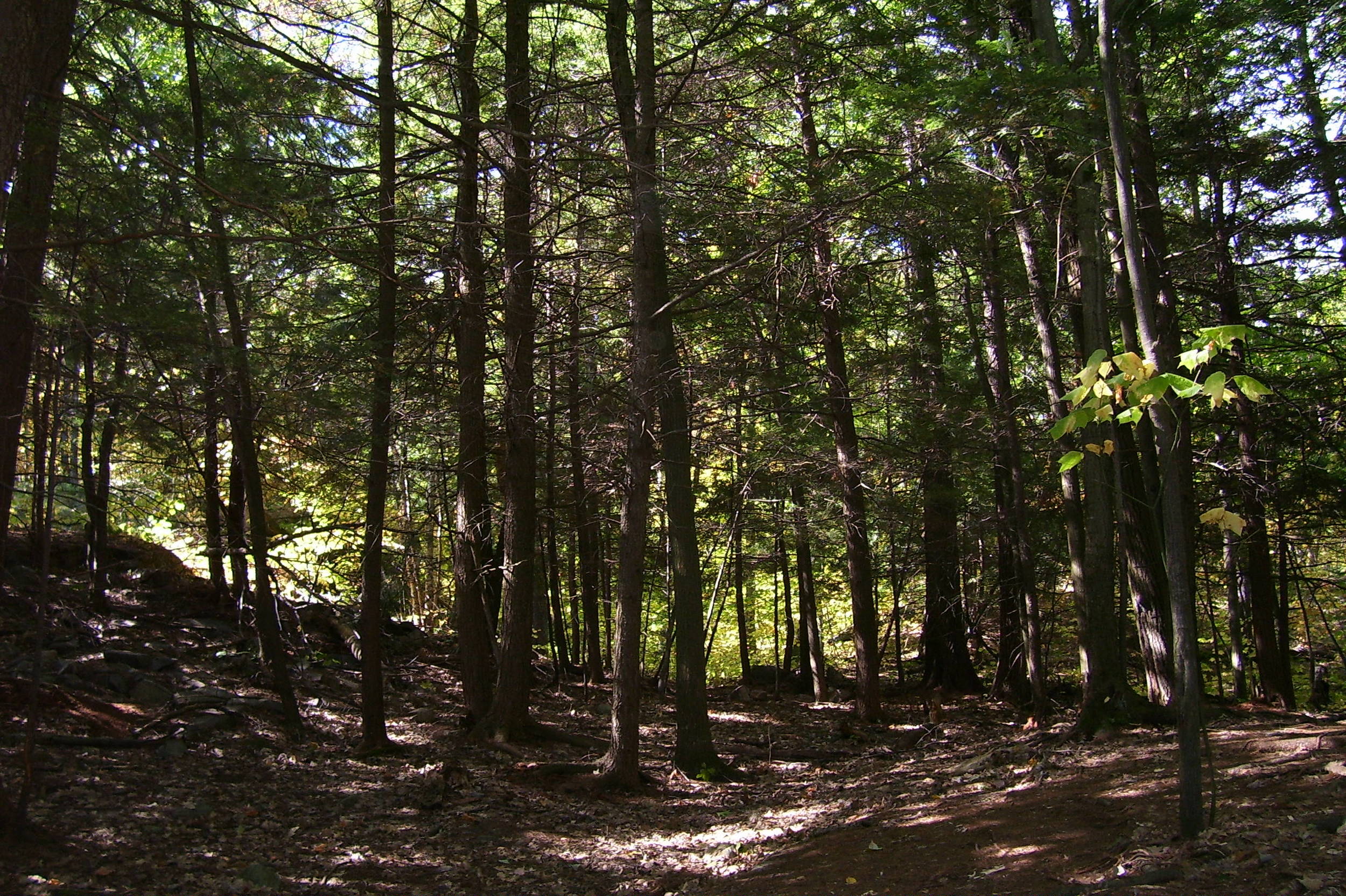 Its Nature — Friends of Killbear
