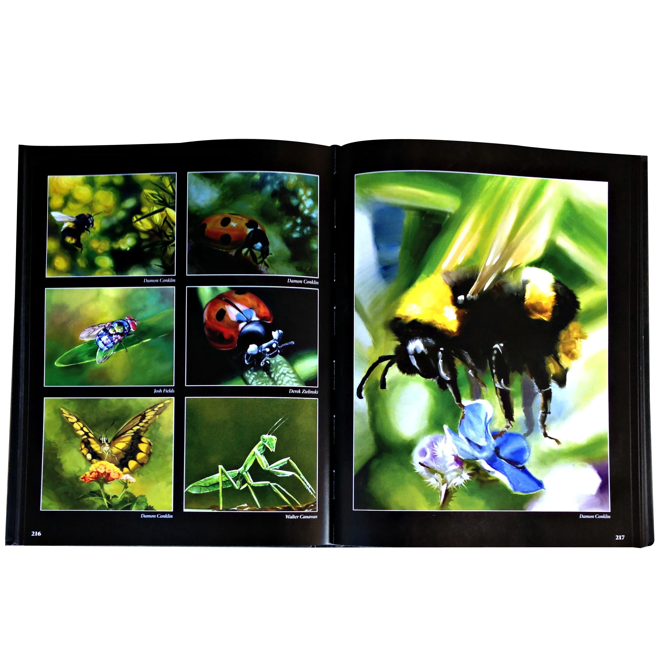 Antennae of Inspiration: The Insect Art Project — Out of Step Books
