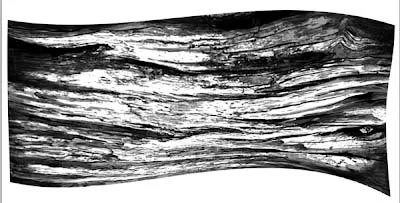 Fox Head Sign — Imagination Corporation