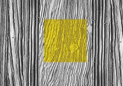 Woodgrain Panel — Imagination Corporation
