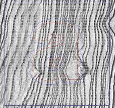 Woodgrain Panel — Imagination Corporation