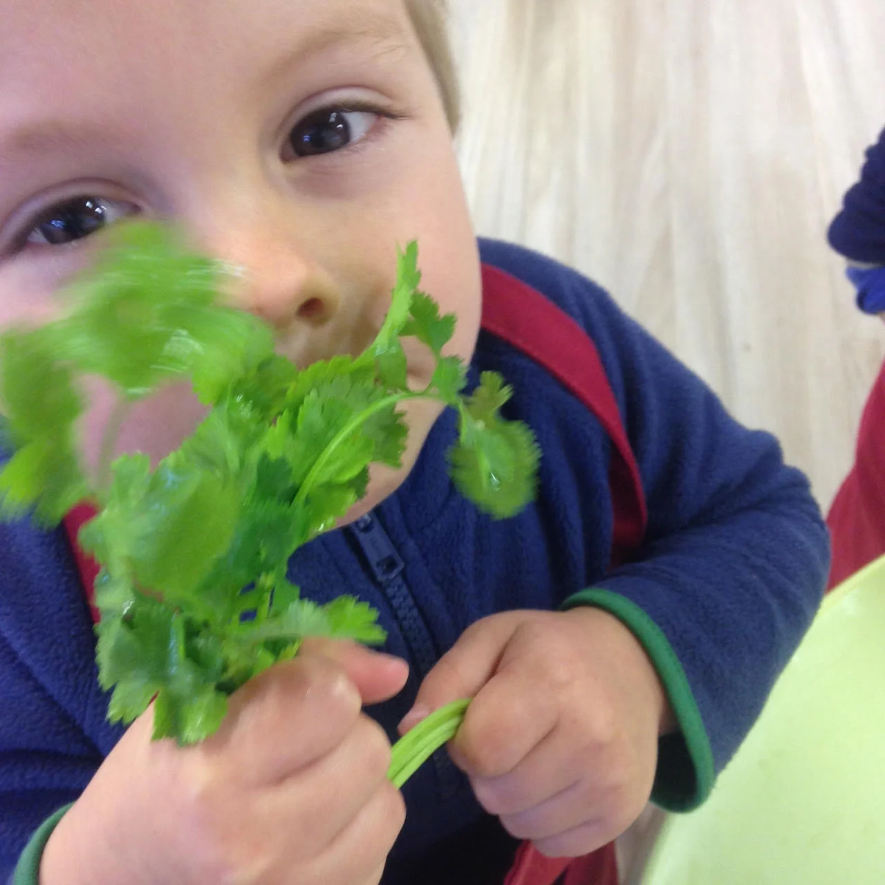 Little Forest Folk | Cooking in the forest | Forest School