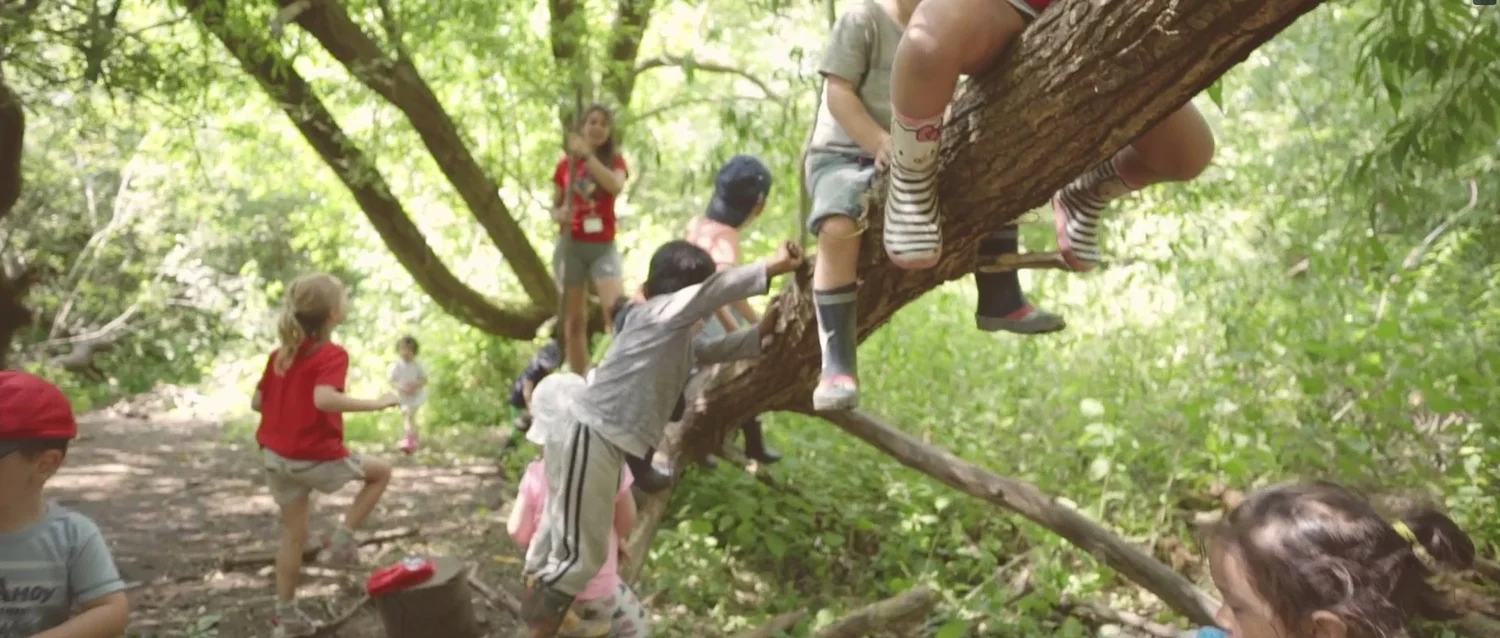 Little Forest Folk | Playing IS learning | Forest School